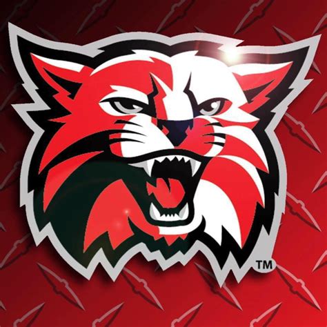 Elmwood High School Elmwood High School Principal