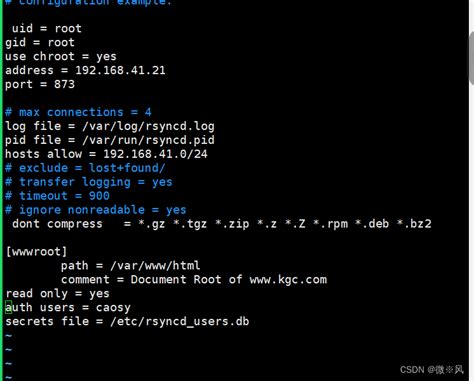 rsync：远程文件同步与增量备份技术详解 csdn博客