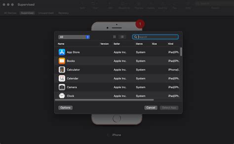 What Is IOS Kiosk Mode And How Do I Enable It