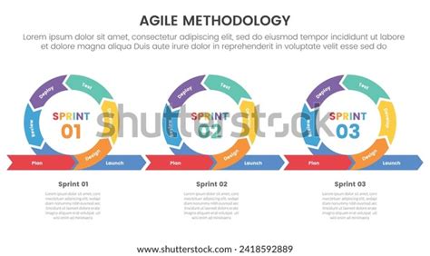 Agile Sdlc Methodology Infographic 7 Point Stock Vector Royalty Free