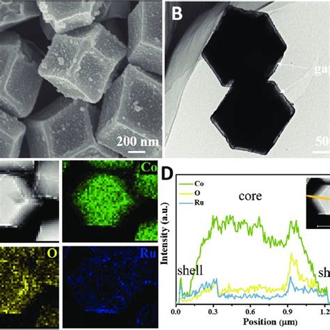 Pdf Rational Construction Of Ruthenium‐cobalt Oxides Heterostructure In Zifs‐derived Double