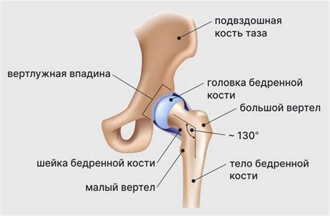 Артроскопия Тазобедренного сустава — Центр хирургии ТБС