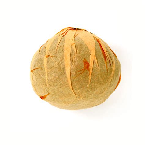 TÉ Rojo Pu Erh Ju Pu Cha Golden Tips