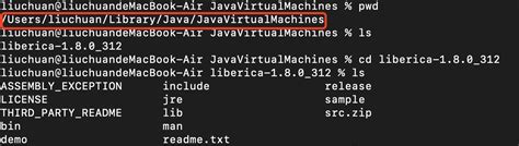 Mac M系列芯片配置JAVA JDK8 LUKENC Blog