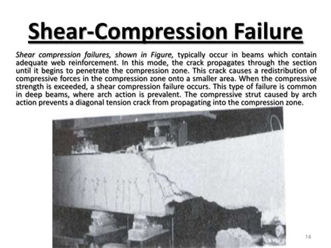 Shear Bond Bearingcamber And Deflection In Prestressed Concrete Pptx