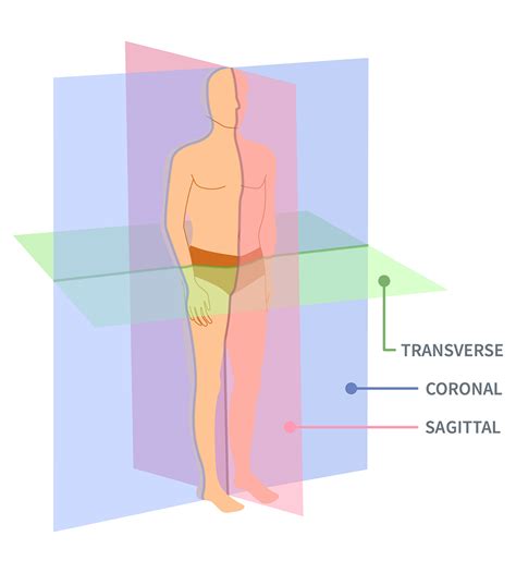 What Are The 3 Planes Of Motion And Why Are They Important Bodi