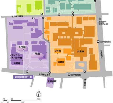 東北大学大学院医学系研究科 細胞組織学分野｜アクセス