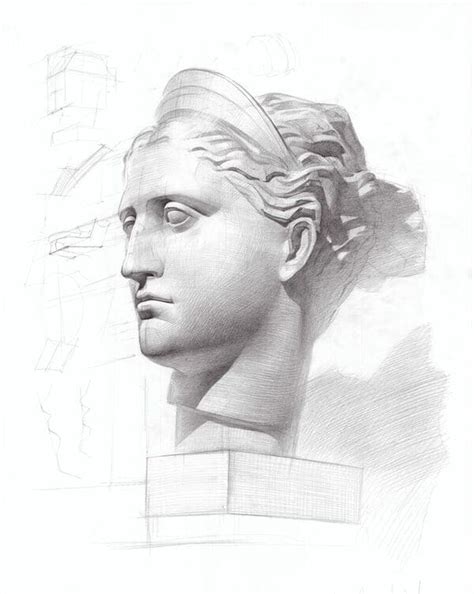 Уроки академического рисунка для вступительных экзаменов 1 Azn Digər Kolleksiyalar Bakı