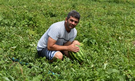 Programa garante compra direta da produção dos agricultores Economia Diario de Pernambuco