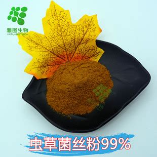 虫草菌丝粉99 冬虫夏草提取物 雅图供应 发酵虫草菌丝体 现货 阿里巴巴