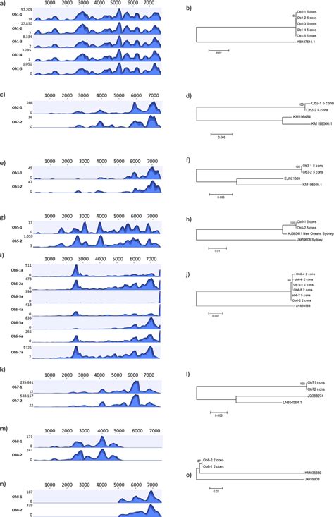 genome coverage and phylogenetic comparison genome coverages are shown