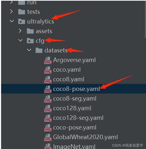 Yolov8训练自己的数据集以及权重转化为engine格式超详细怎样将pt文件转换为engine文件 Csdn博客