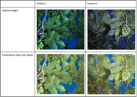 Colour Space Management And Calibration Frameworks Nvidia Developer