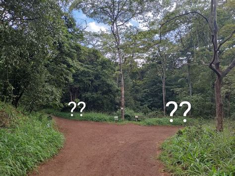 Ansar Shaikh On Linkedin Entrepreneurship