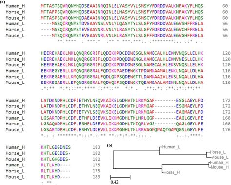 A Multiple Sequence Alignment Of Mouse L Chain Uniprot Database Download Scientific Diagram
