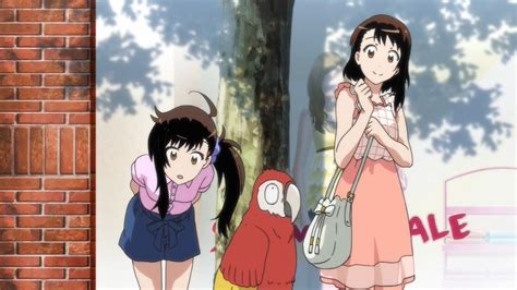 Pin On Nisekoi