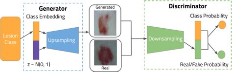 Figure 2 From Towards Interpretable Skin Lesion Classification With Deep Learning Models
