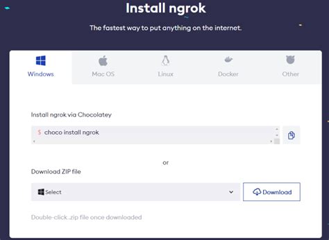 Ngrokを使ってみる（oauth、github、node Red） 趣味的ロボット研究所