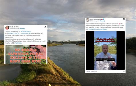 Śnięte ryby w Kanale Gliwickim Opozycja już oskarża