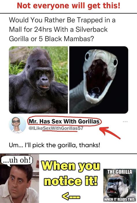 Mr Has Sex With Gorillas 😎 Praise Spez Rshitposting