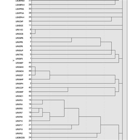the first agglomerative hierarchical cluster analysis result based on