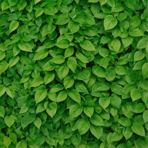Premium Ai Image Seamless Leaf Texture Background