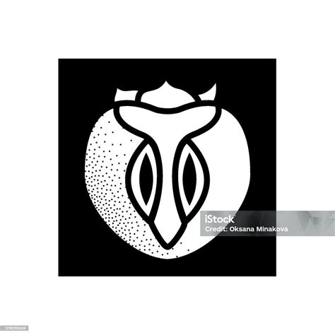 白色風格化的柿子 卡基或莎倫水果圖標隔離在黑色背景簡單的線性元素 平面樣式向量圖向量圖形及更多健康飲食圖片 健康飲食 剪裁圖 即食口糧