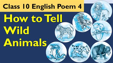 How To Tell Wild Animals Class 10 Summary Explanation Question Answers
