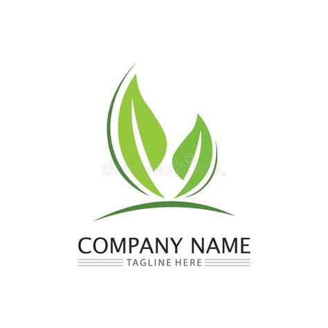 Tree Leaf Vector And Green Logo Design Friendly Concept Stock