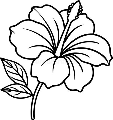 Beautiful Flower Hibiscus With Stem Vector Line Art Artwork