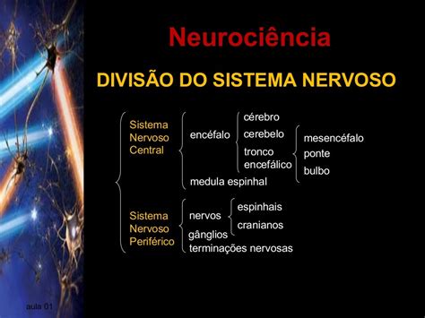 Aula De Revisão Neuroanatomia