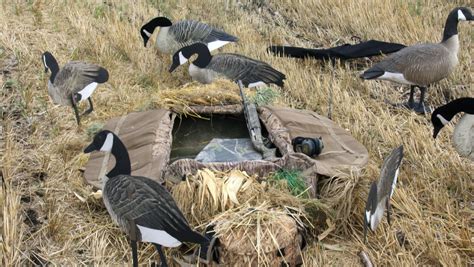 Varied Colors Of Raffia Grass Let You Customize Blind