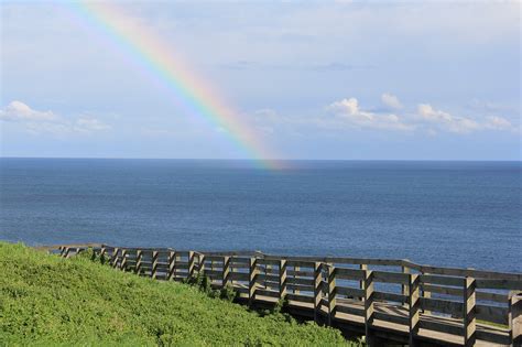 Rainbow Grass Green Free Photo On Pixabay Pixabay