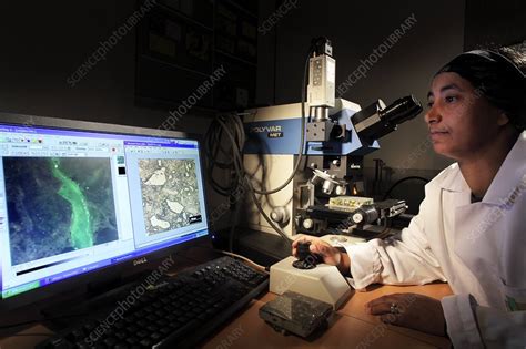 Durability Assessment Of Concrete Stock Image C015 5737 Science Photo Library