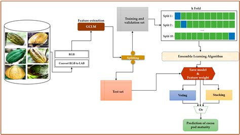 Optimization Of Cocoa Pods Maturity Classification Using Stacking And Voting With Ensemble
