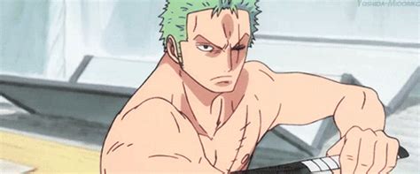 Meilleures Collections One Piece Zoro Wano Coluor Vows