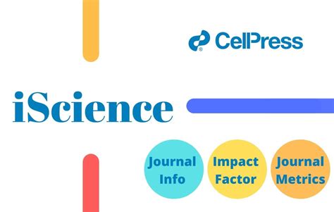 Frontiers In Neuroscience Impact Factor 2025 Journal Impact Factor