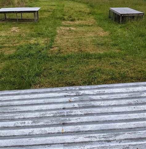 On Pasture Grass Fed Gosling Mowers Forged Mettle Farm