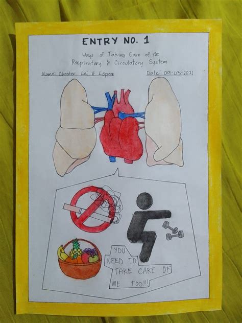 Taking Care Of The Respiratory System And The Circulatory System Poster