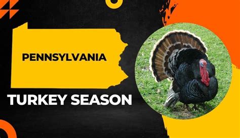 Pa Turkey Season 2023 Latest Hunting Dates Regulations And Licenses In