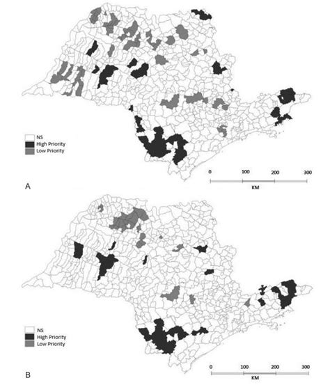Scielo Brasil Spatial Approach Of Perinatal Mortality In São Paulo