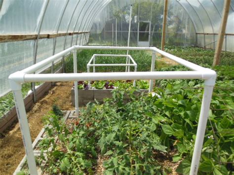 Build A Tomato Trellis The Living Farm