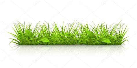 Grass Vector Stock Vector By ©natis76 12836909