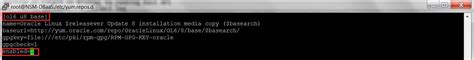 netsoftmate technical blog oracle dbcs configure and use vnc gui