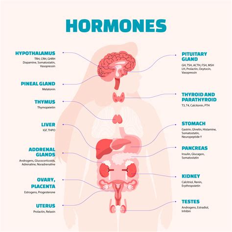 Hormone Doctor Ultimate Preventive Care
