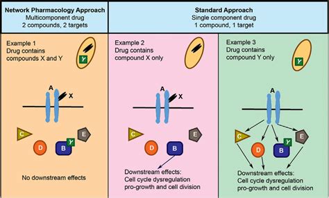 Combination Drugs Exert More Potent Pharmacodynamic Effects This
