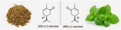 Chiral Molecules In Everyday Life From Natural Compounds To