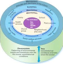 Bronfenbrenners Bioecological Theory Welcome To Msjones Website