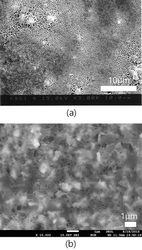 Sem Photographs Of Pure Mgb2documentclass 12pt Minimal Download