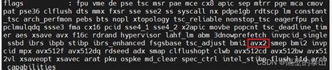 T5 Linux查看cpu信息，是否支持avx2指令集linux Avx2 Csdn博客